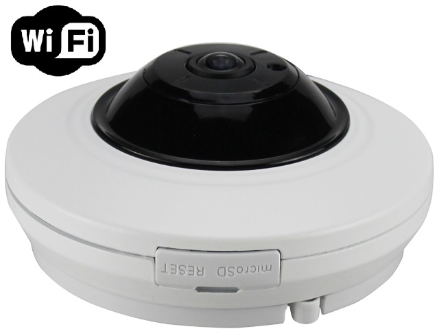 IP-Fisheye2W панорамная камера видеонаблюдения 360 градусов
